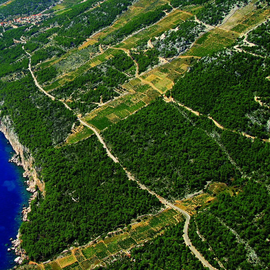 Dalmacija - vinacroatia.hr